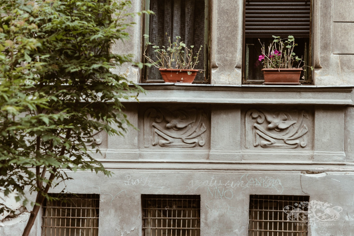 Romulus Nicolin House - Heritage of Timișoara