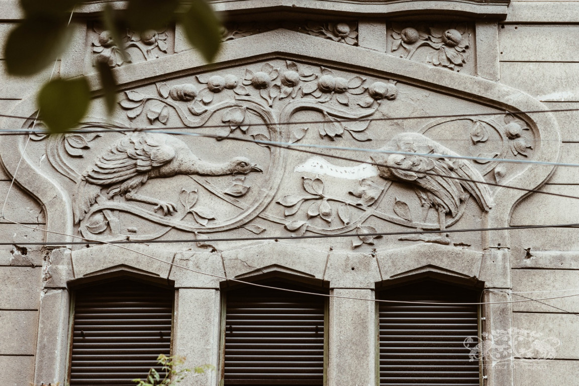 Romulus Nicolin House - Heritage of Timișoara