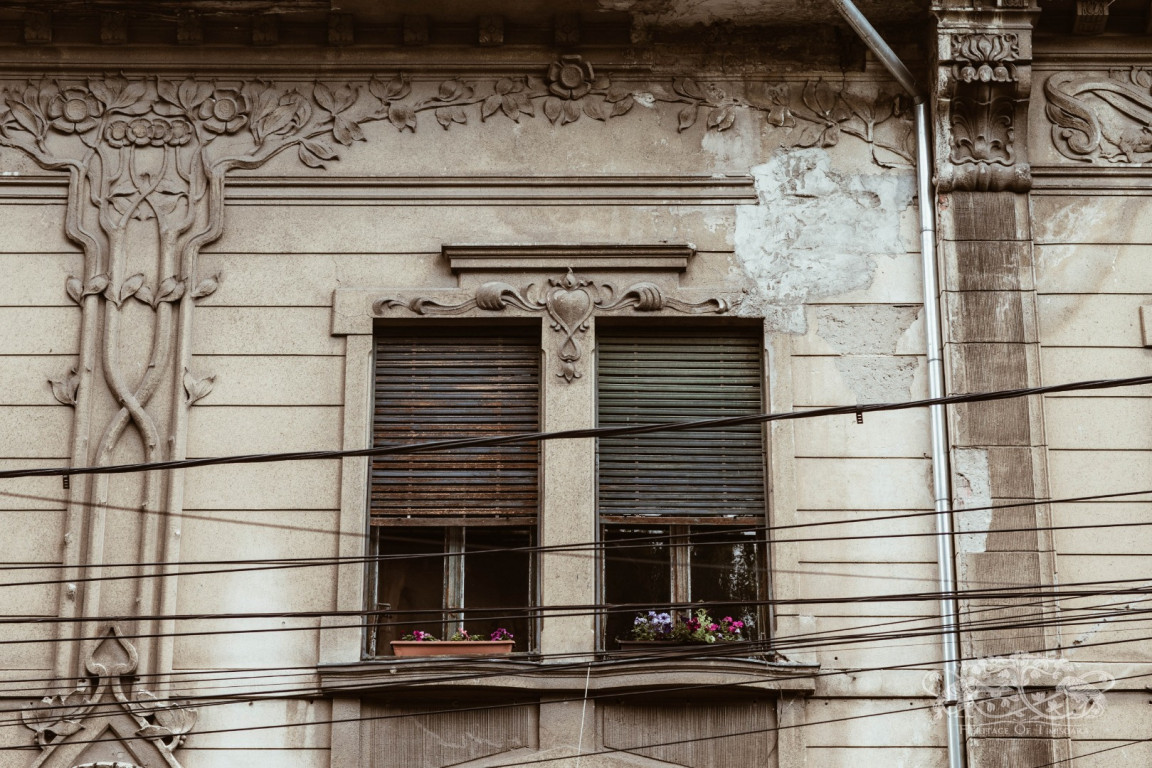 Romulus Nicolin House - Heritage of Timișoara